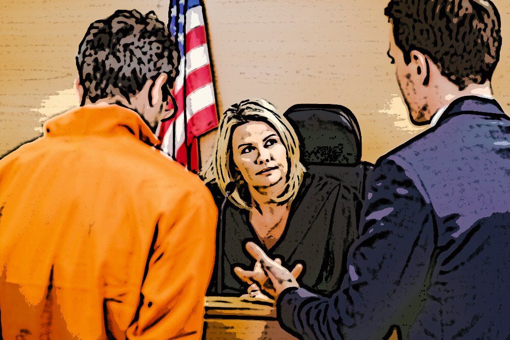 temporary insanity plea cases