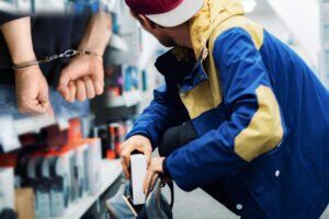 petty larceny examples